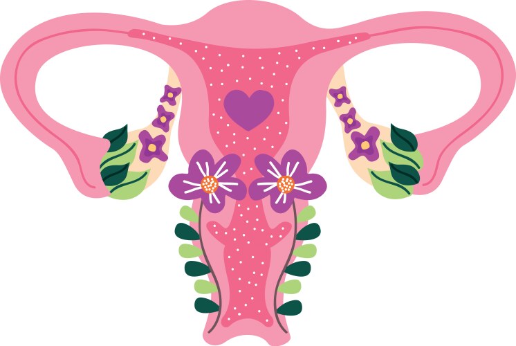 Uterus with Flowers Vector Images (over 480)