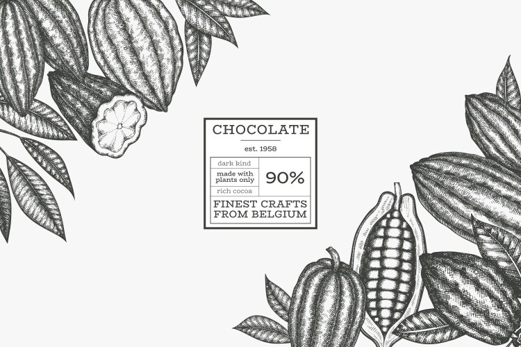 Cocoa banner template chocolate beans Royalty Free Vector