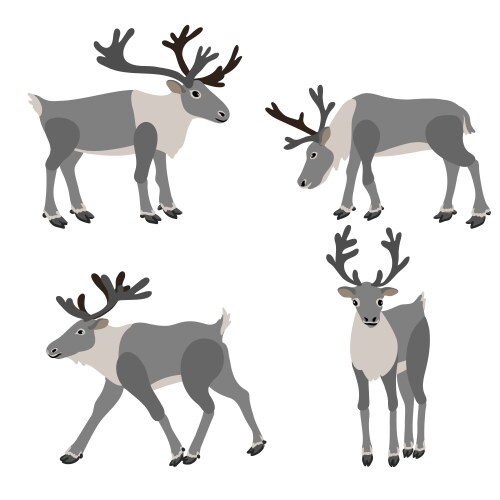 Caribou Animal Clipart Cartoon