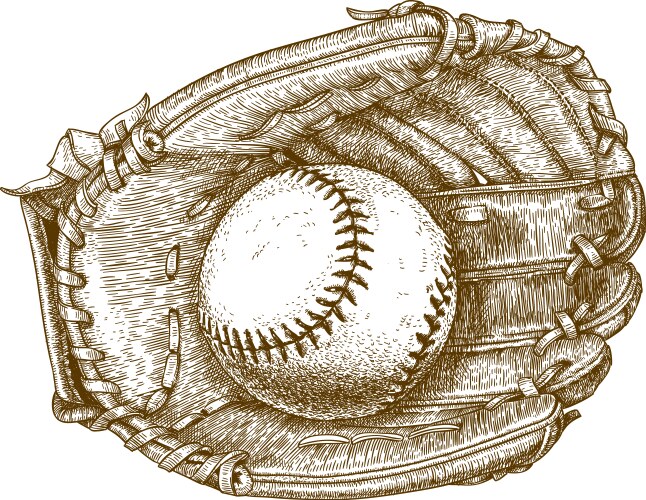 Engraving baseball ball Royalty Free Vector Image