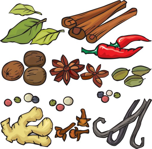 Spices Royalty Free Vector Image - VectorStock