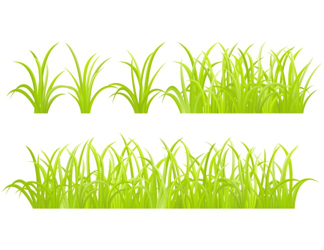 Grass Vector Images (over 360,000)
