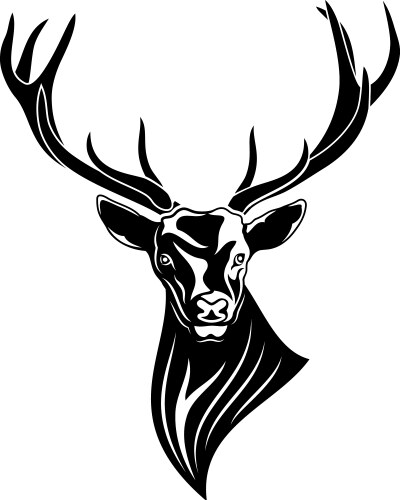 Traditional Deer Tattoo Drawing