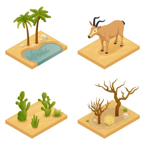 Desert landscape isometric infographics poster Vector Image