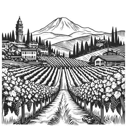 Engraved tuscan vineyard countryside villa Vector Image