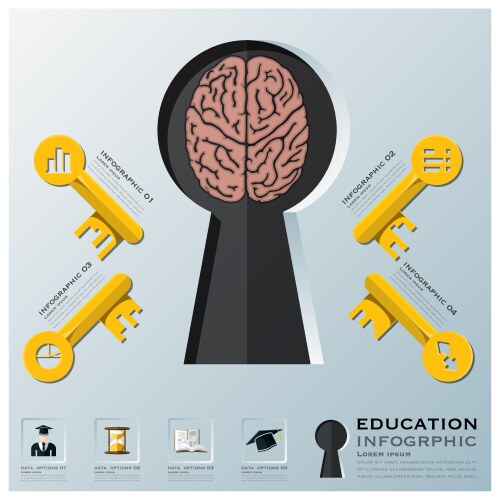 8m key business functions infographic Royalty Free Vector
