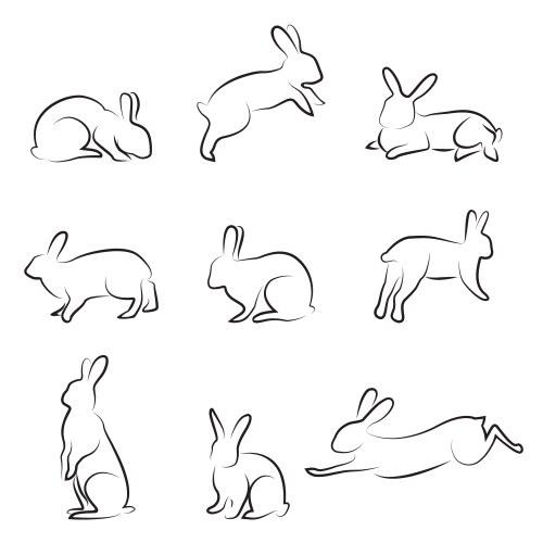 Free Rabbit Vector Images (over 4,800)