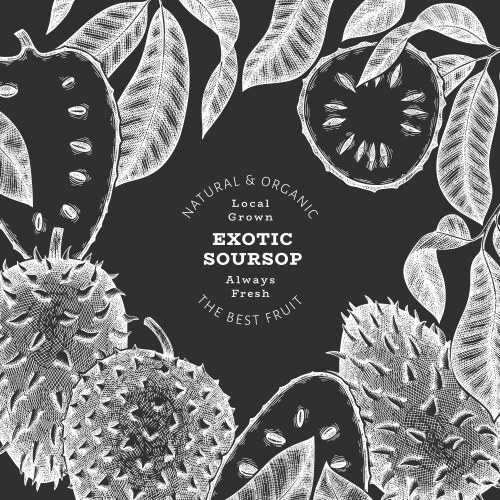 Hand drawn sketch style soursop fruit banner Vector Image