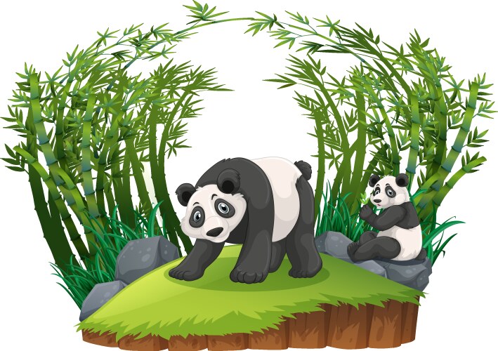 Two cute panda in a bamboo forest Royalty Free Vector Image