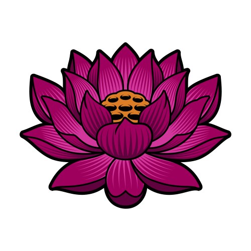 Lotus Vector Images (over 98,000)