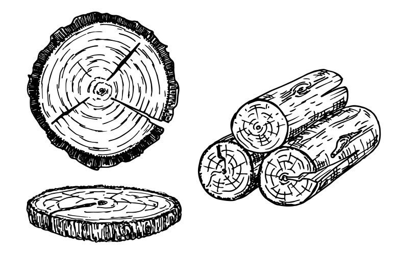 Wood logs trunk sketch hand Royalty Free Vector Image