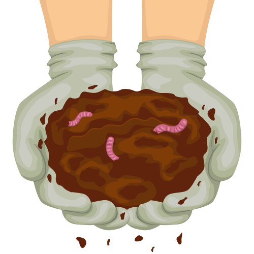 Worm Up Close Vector Images (over 100)