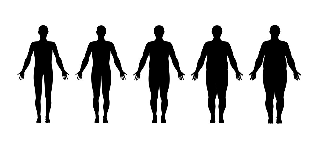 Women Body Shapes Vector Images (over 13,000)