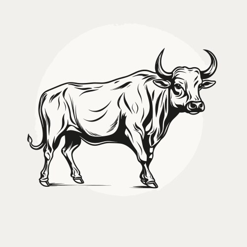 Bullock hand-drawn doodle style cartoon Royalty Free Vector