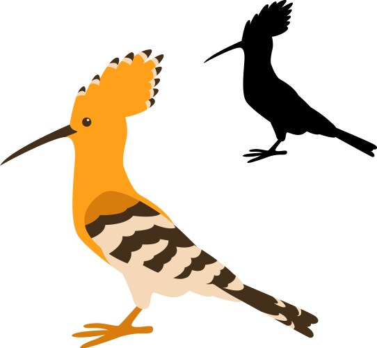 Cute cartoon hoopoe Royalty Free Vector Image - VectorStock