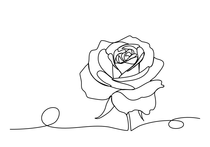 Cherry blossom one line drawing Royalty Free Vector Image