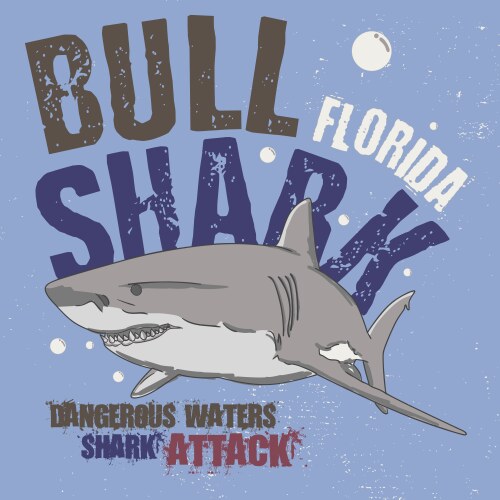 Shark Slogan Vector Images (over 190)