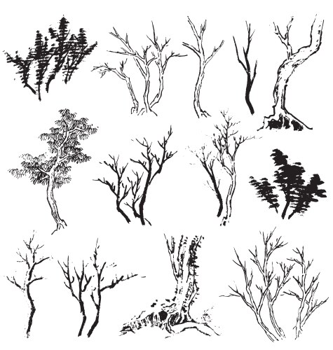 Tree Drawing Vector Images (over 260,000)