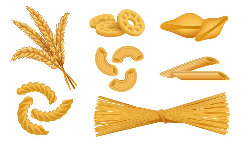 Realistic pasta template Royalty Free Vector Image