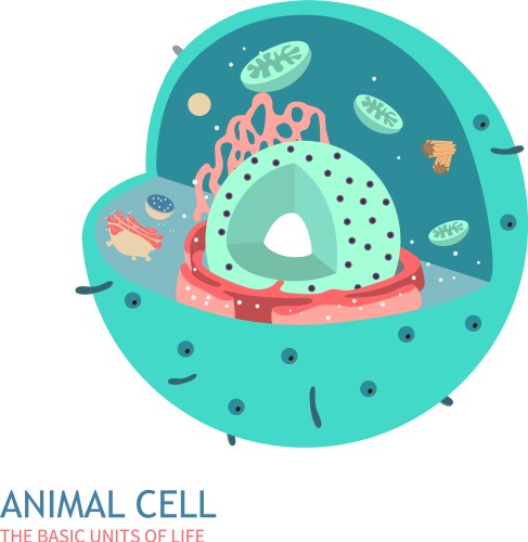 Cell Vector Images (over 410,000)