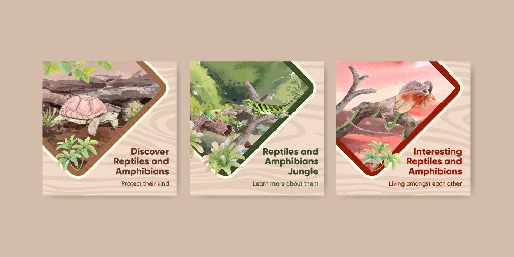 Poster template with reptiles and amphibians Vector Image
