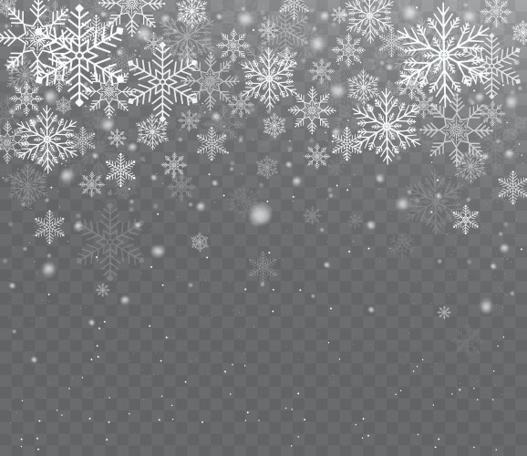 Shining bokeh isolated on transparent background Vector Image