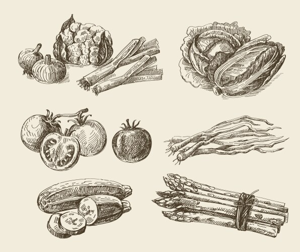 Hand drawn food sketch Royalty Free Vector Image