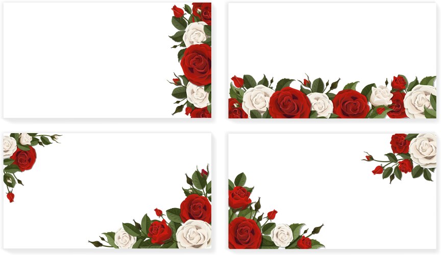 Border of white roses Royalty Free Vector Image