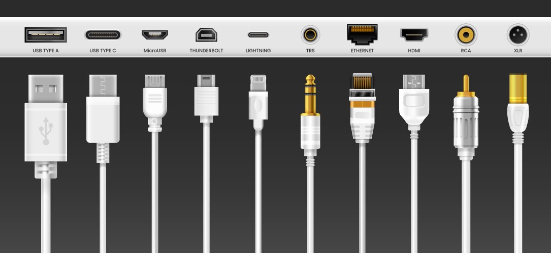 USB Type-C Port Connectors - Phone Jacks Vector Image