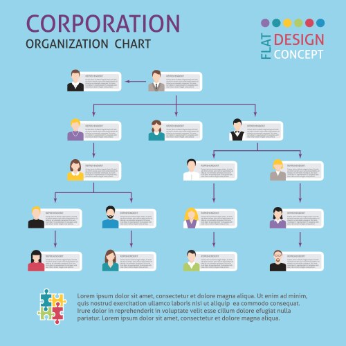 Structure and hierarchy of corporate company Vector Image