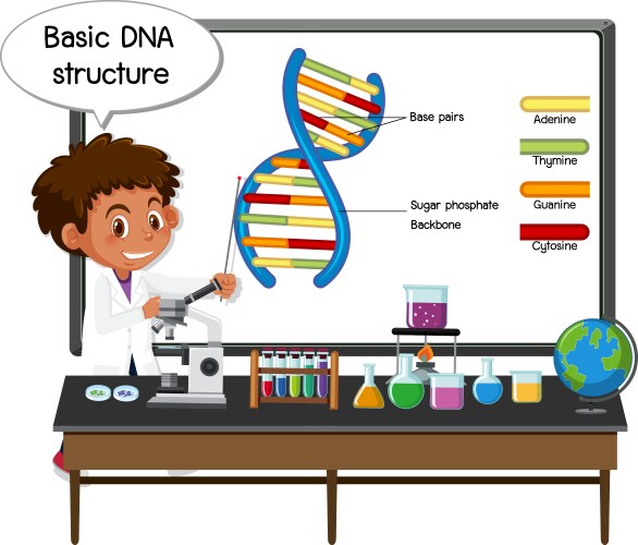 Dna Border Vector Images (over 340)