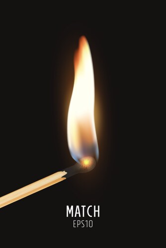 3d realistic match stick icon set closeup Vector Image