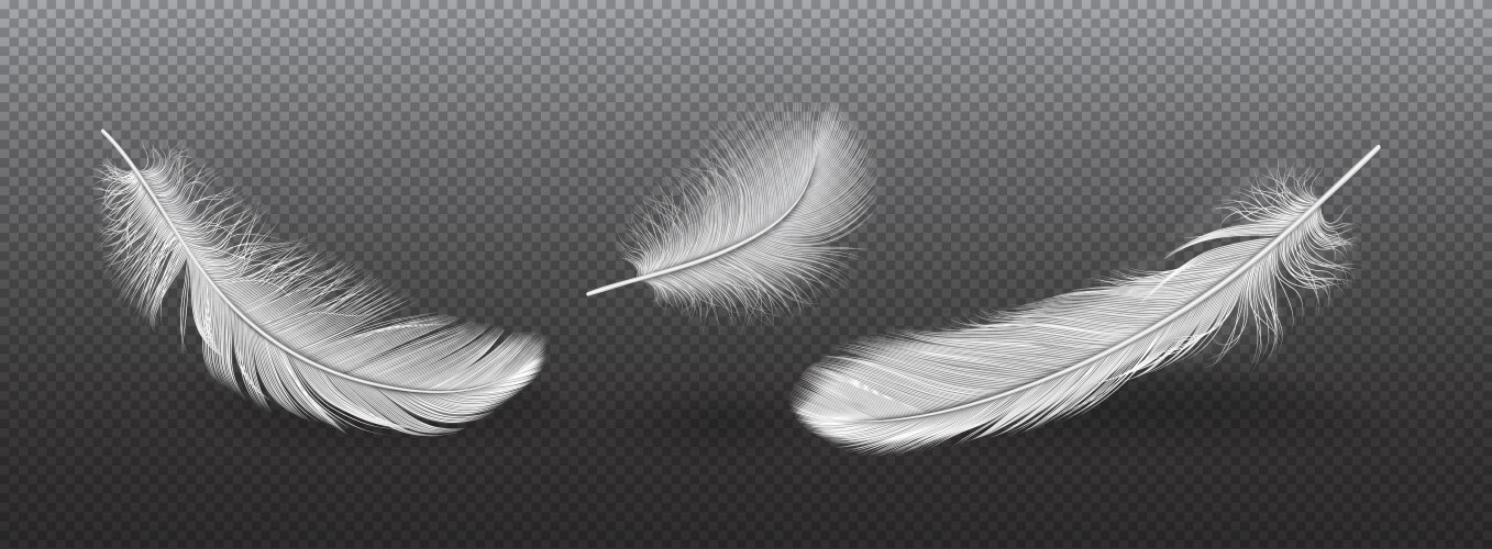 Floating feathers pattern realistic Royalty Free Vector