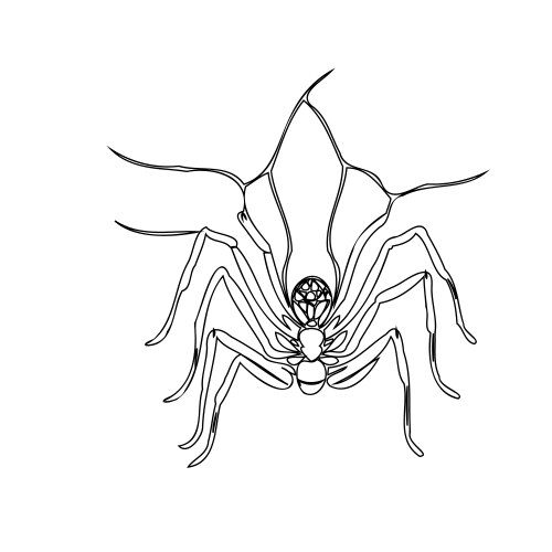 Spider halloween sketch outline Royalty Free Vector Image