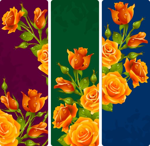 Yellow Rose Border Vector Images (over 1,800)