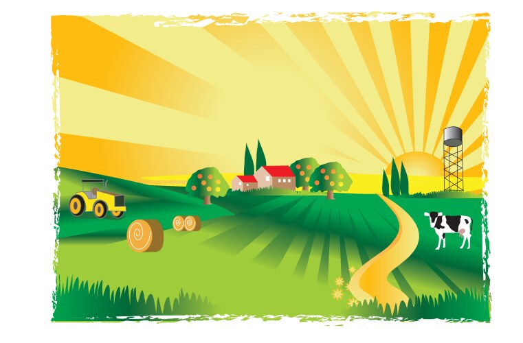 Wheat fields village farm landscape with green Vector Image