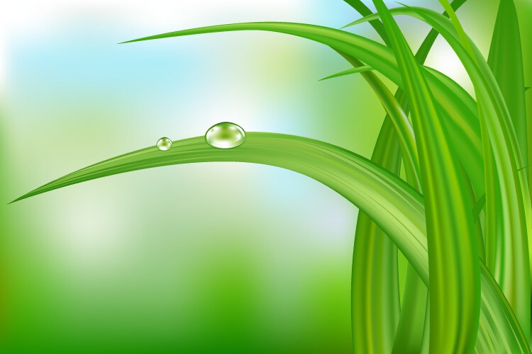 Grass and Water Background Vector Images (over 25,000)
