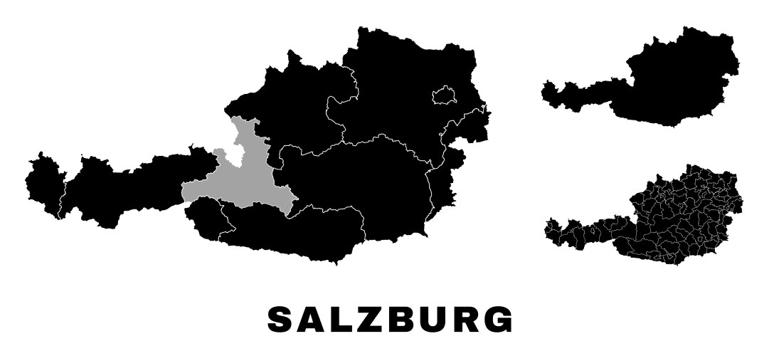 Detailed Salzburg City Map Royalty Free Vector Image