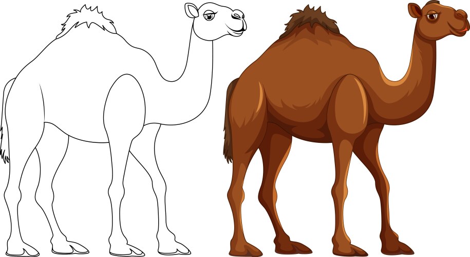 Camel family cartoon Royalty Free Vector Image