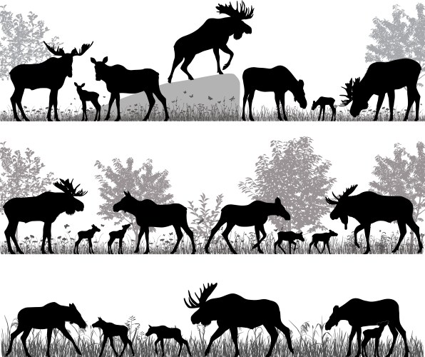Moose Black and White Vector Images (over 6,500)