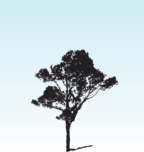Free Pine Tree Vector Images (over 5,500)