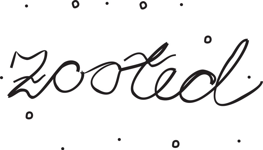 Zot phrase handwritten modern calligraphy text Vector Image