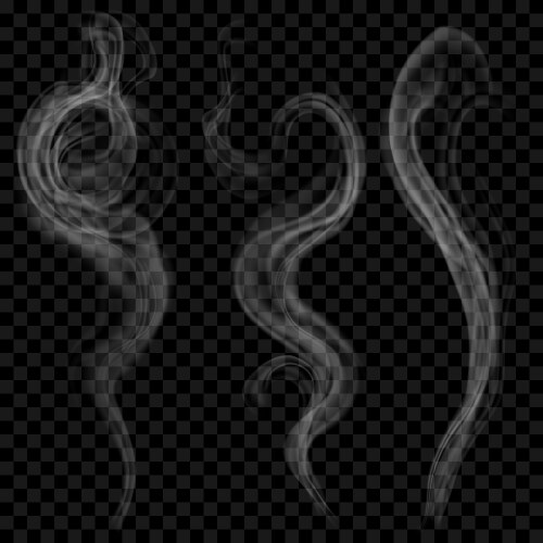 Abstract background of gray smoke Royalty Free Vector Image
