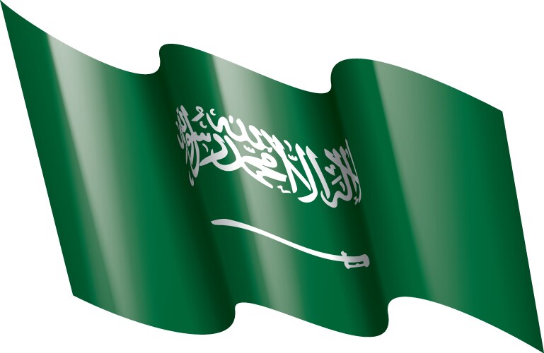 Saudi arabia flag on a white Royalty Free Vector Image