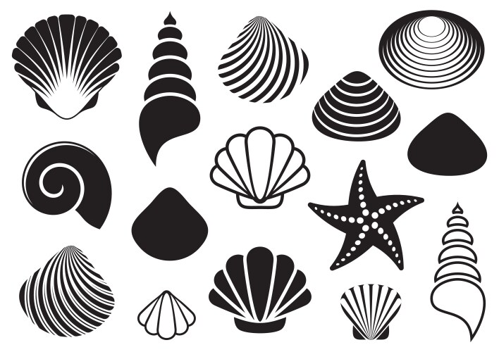 Shell Outline Vector Images (over 21,000)
