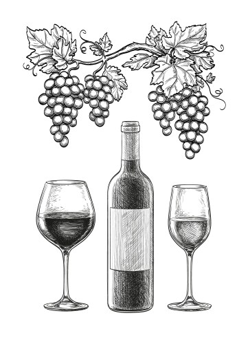 Still Vector Images (over 21,000)