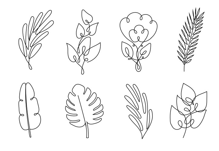 Outline tropic palm leaf set one continuous line Vector Image