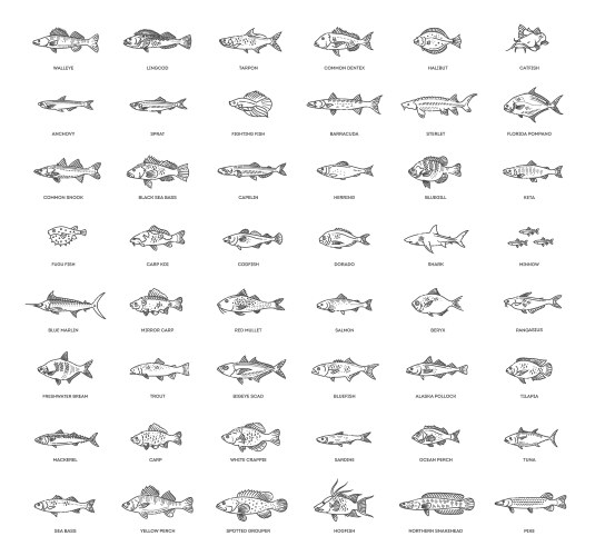 Set of fish Royalty Free Vector Image - VectorStock