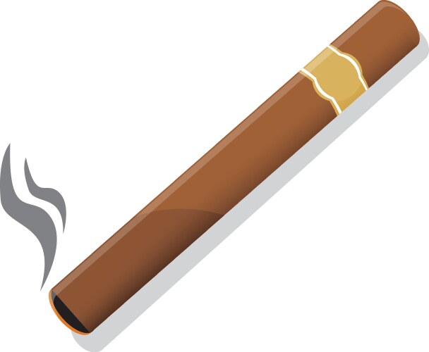 Burning cigarette Royalty Free Vector Image - VectorStock