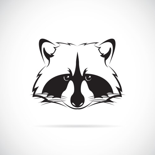 Raccoons Royalty Free Vector Image - VectorStock